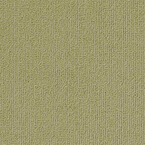 Philadelphia Commercial by Shaw - SP918 Fescue | Online Flooring Store ...