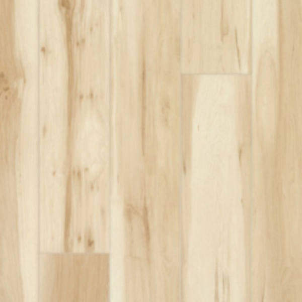 Mohawk - SolidTech Select Founders Trace Original Sandstorm | Online ...