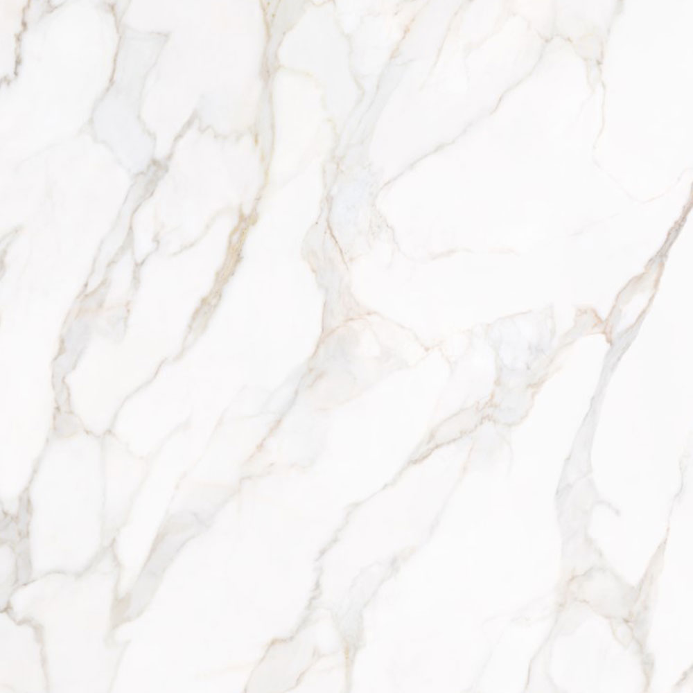 Tesoro - Paonazzo 24 x 24 Calacatta Gold Matte | Online Flooring Store ...