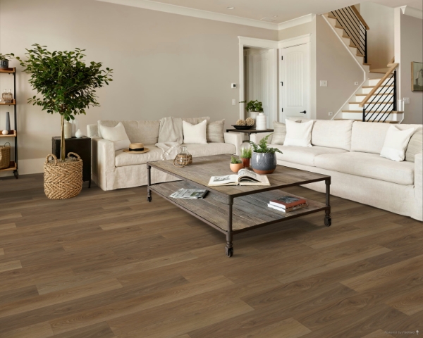 Shaw Floors - Pantheon HD Plus Natural Bevel Olive Tree | Online ...