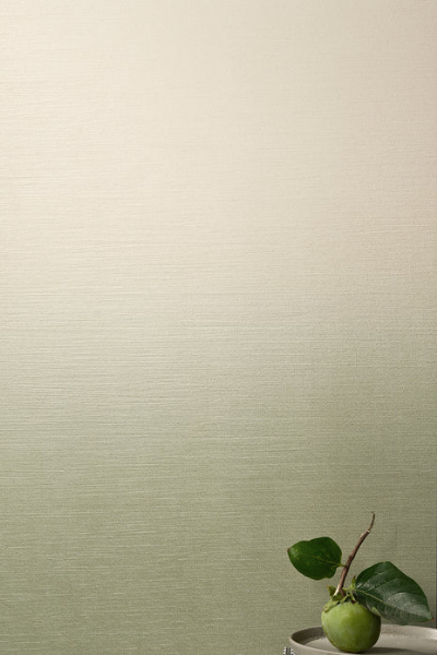 Online Flooring Store | Get Floors OnlineEmser Tile - Spectra Wall 20 x ...