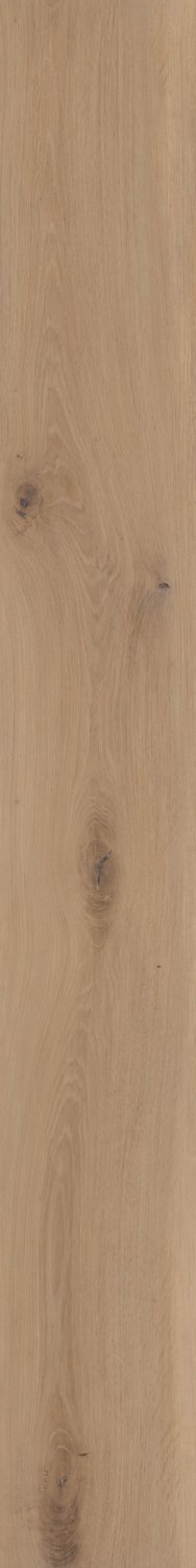 US Floors - CORETec Originals Premium 9 Blonde Oak | Online Flooring ...